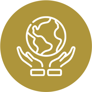 Indika Group – Rice Manufacturer In India